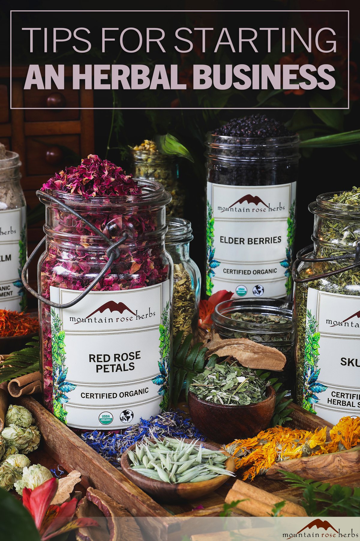 The Herb Shoppe Journey: Choosing to Start an Herbal Business